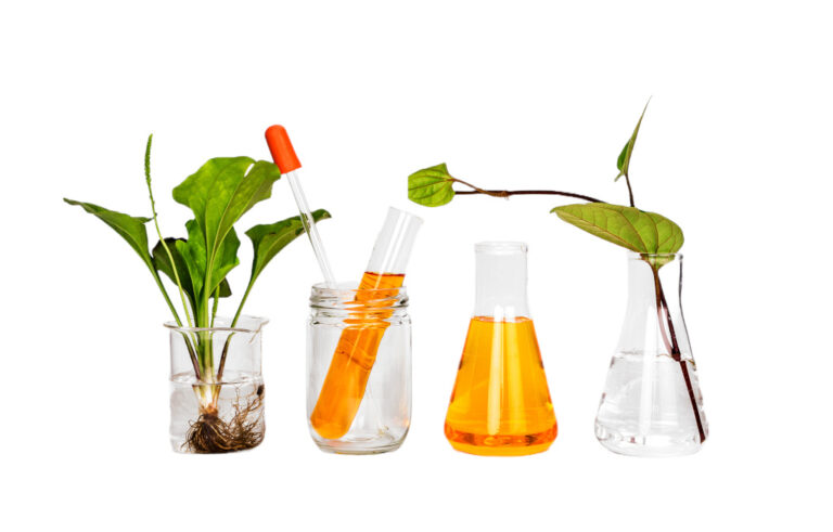 Natural and artificial flavors - Hilltech Canada