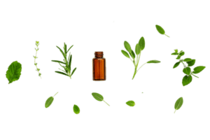 Contact - Hilltech Canada